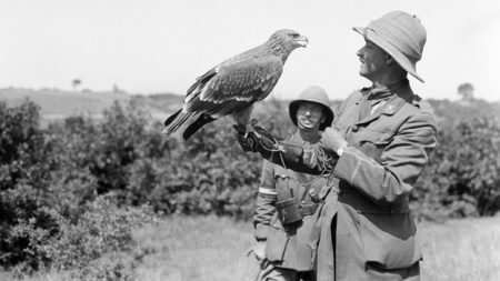 Heartwarming photos of animals at war | All About History