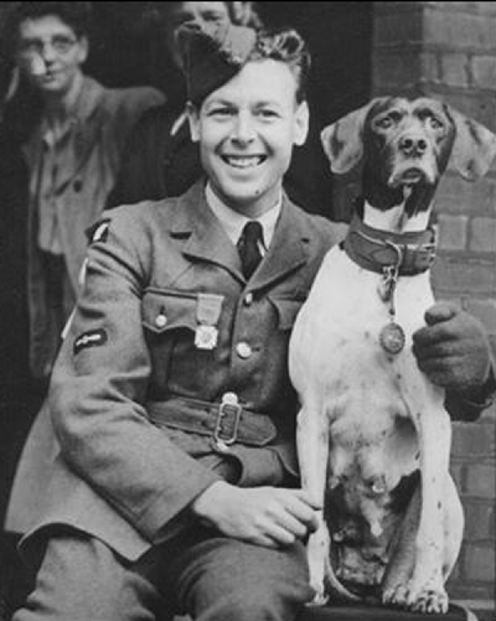 Hero dogs of World War 2: From Japanese POW camps to the long night of ...